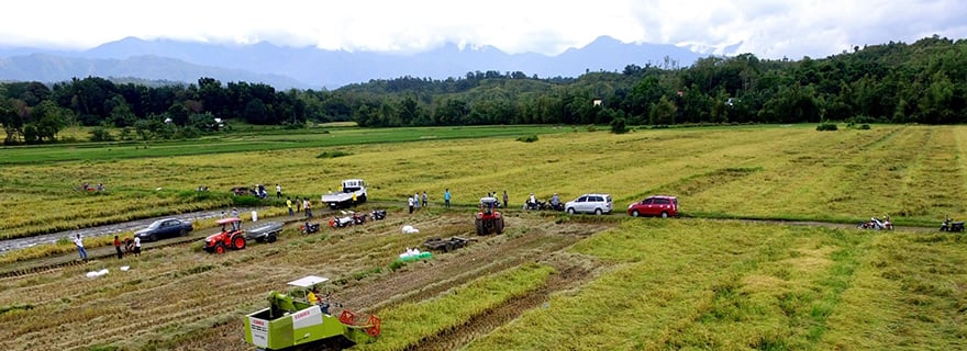 Piddig, Ilocos Norte: A model for resilient agri-institutions - UP ...